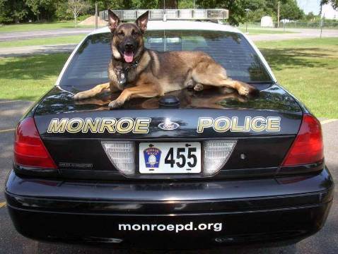 Monroe Police Chief announces first-ever service awards