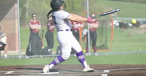 Crusaders lose to Tigers