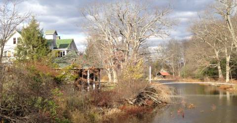 Village approves environmental findings for Roscoe Smith land