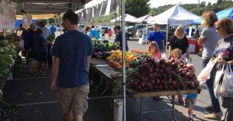 Cornucopia at Farmers Market