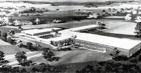 Pine Tree Elementary at 50