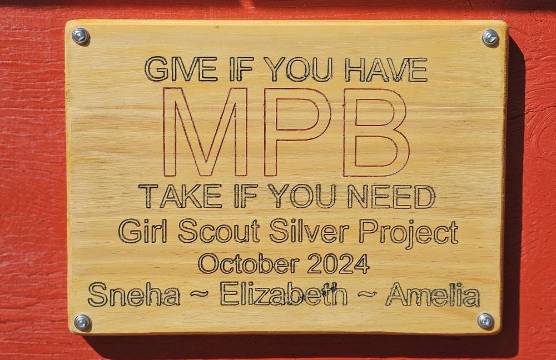 Scouts craft public pantry box for families in need