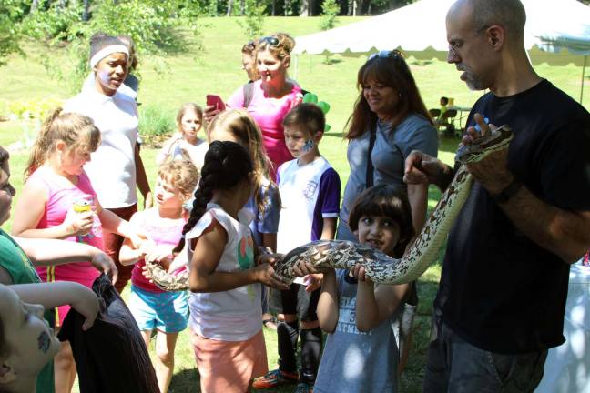 Celebrating 50 years of play